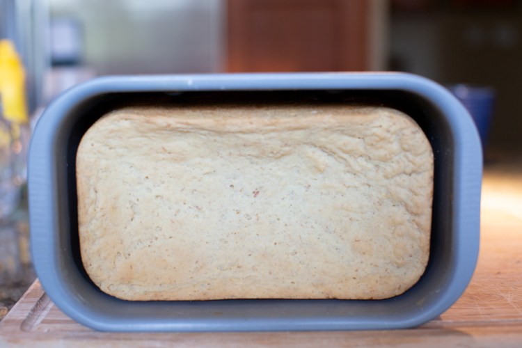 Brown Bread for a Bread Machine – Gluten Free Mom